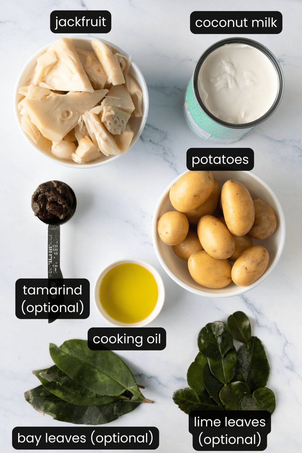 Authentic Vegan Jackfruit Rendang (Step-by-Step Pics!) | The Fruity Jem