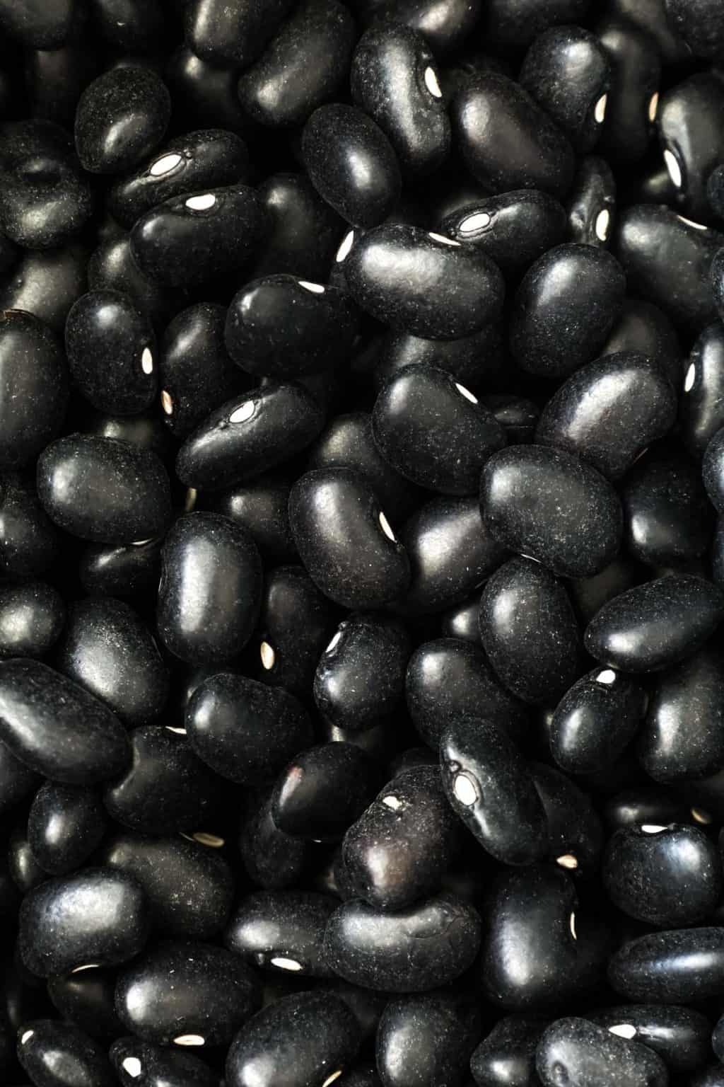 33 Black Vegetables + PHOTOS: The Complete List | The Fruity Jem