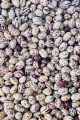25 Pink Vegetables + PHOTOS: The Complete List | The Fruity Jem