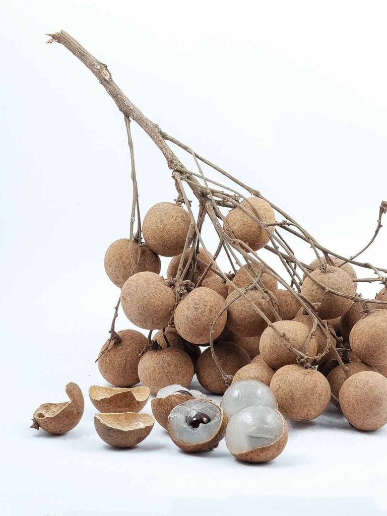 31 Brown Fruits Names + PHOTOS: The ULTIMATE List | The Fruity Jem