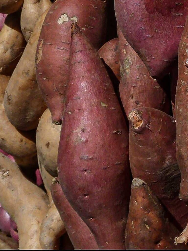 20 Yellow Vegetables (PHOTOS + Names): The Complete List | The Fruity Jem