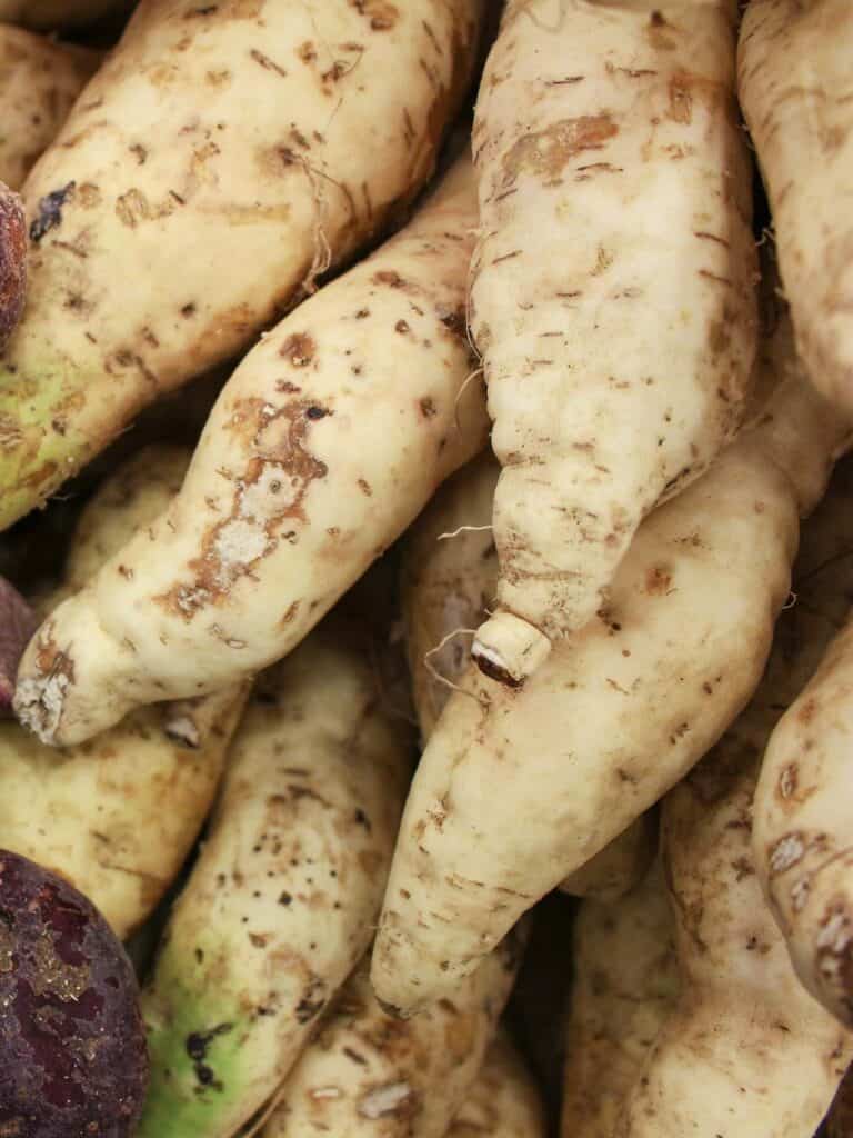 20 Yellow Vegetables (PHOTOS + Names): The Complete List | The Fruity Jem