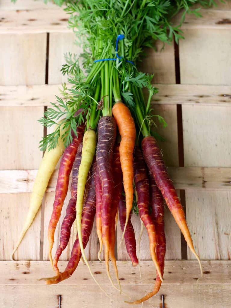 20 Yellow Vegetables (PHOTOS + Names): The Complete List | The Fruity Jem