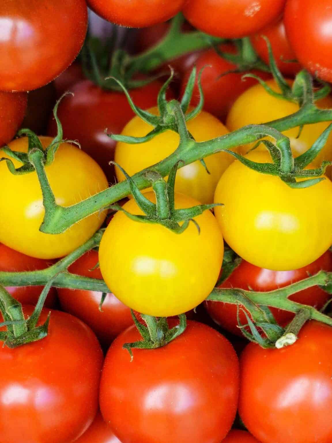 20 Yellow Vegetables (PHOTOS + Names): The Complete List | The Fruity Jem