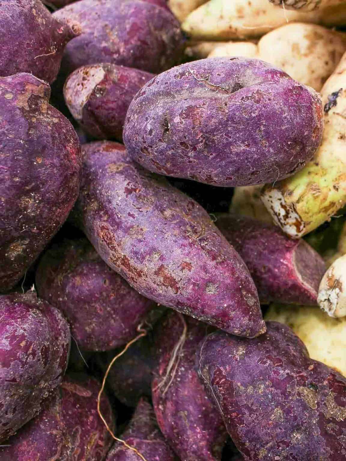 30 Purple Colored Vegetables (Photos, Names & More!) | The Fruity Jem