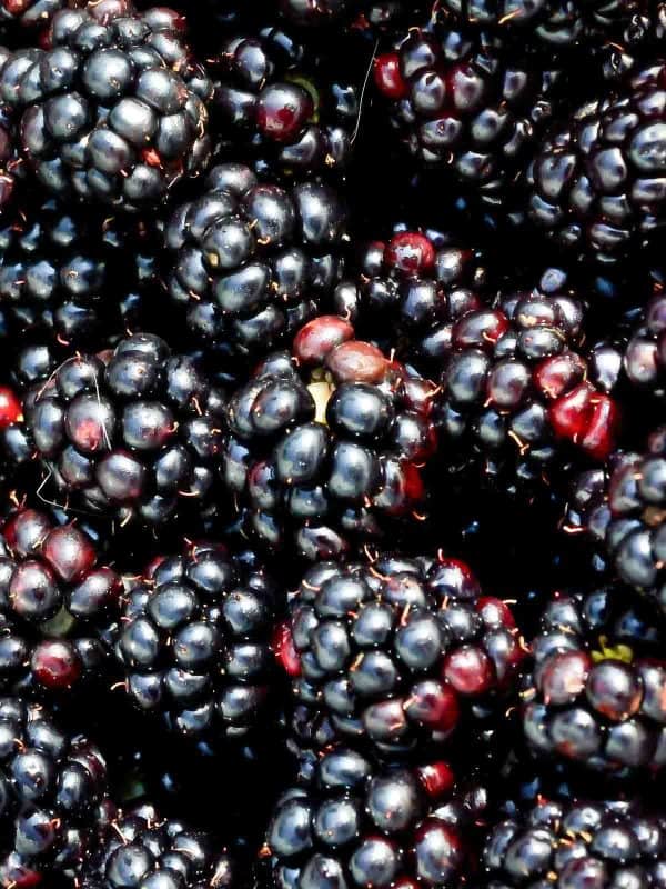 30 Black Fruits: The ULTIMATE List (+ Photos!) | The Fruity Jem