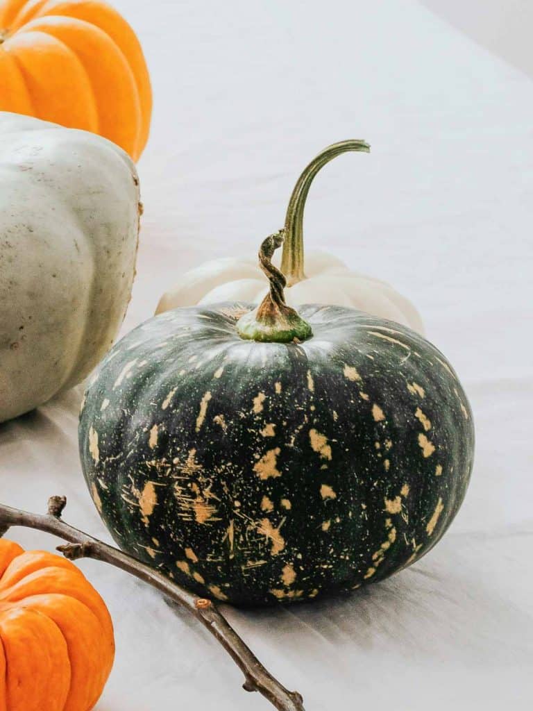 30 Orange Vegetables List (PHOTOS, Names & More!) | The Fruity Jem