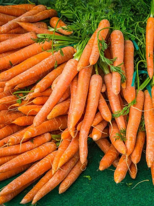 30 Orange Vegetables List (PHOTOS, Names & More!) | The Fruity Jem