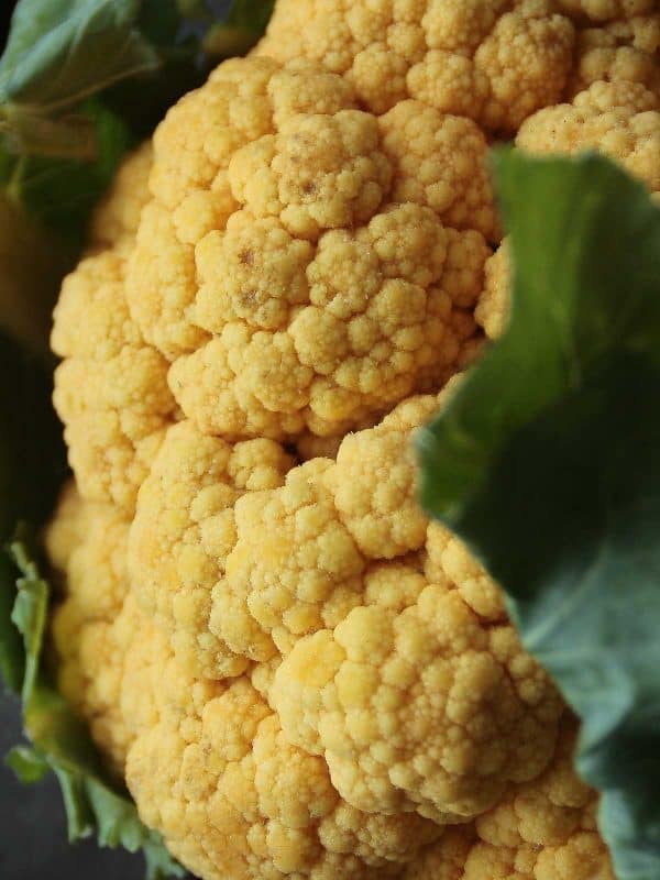 30 Orange Vegetables List (PHOTOS, Names & More!) | The Fruity Jem