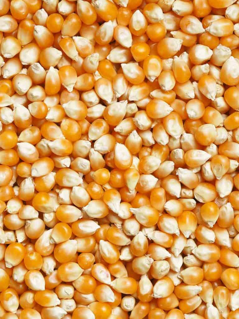 30 Orange Vegetables List (PHOTOS, Names & More!) | The Fruity Jem