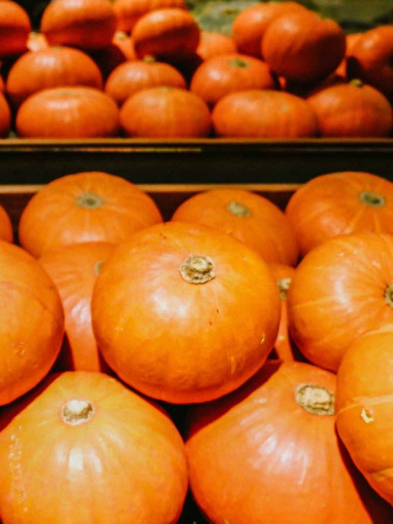 30 Orange Vegetables List (PHOTOS, Names & More!) | The Fruity Jem