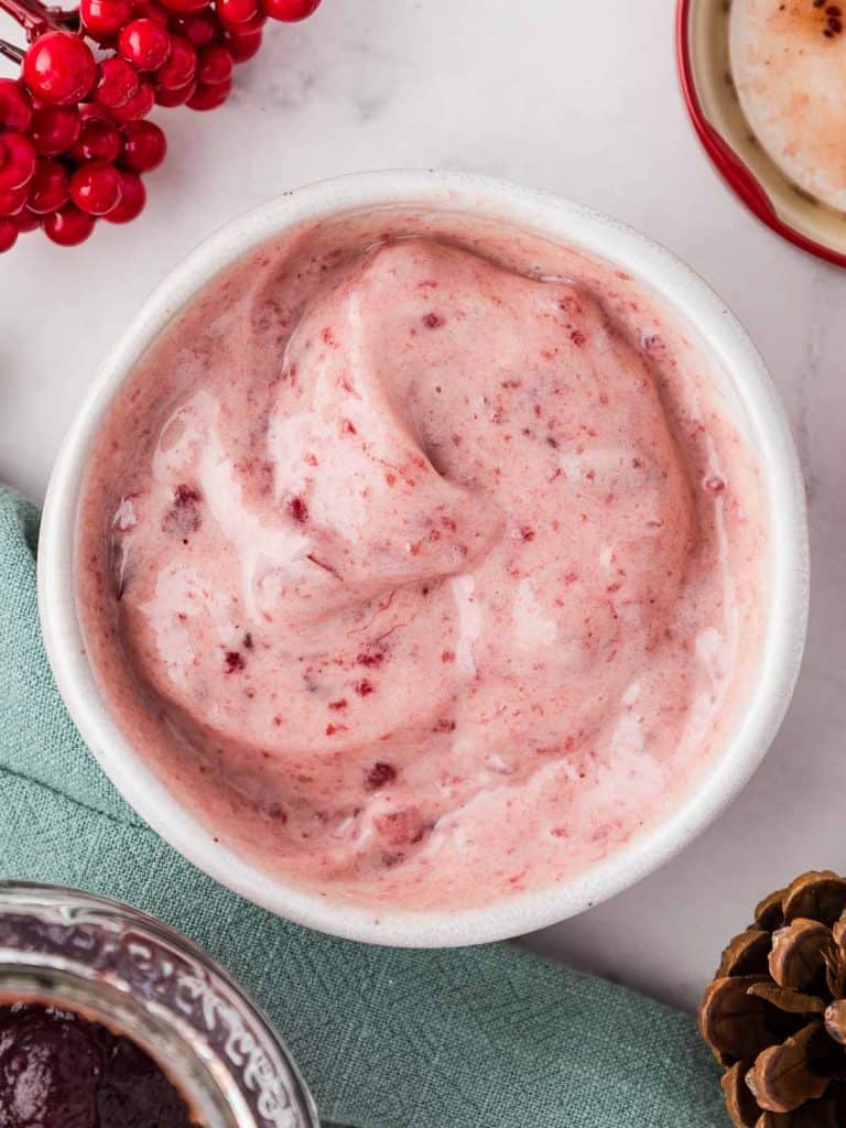3-Minute Cranberry Aioli (Mayo Sauce) | The Fruity Jem