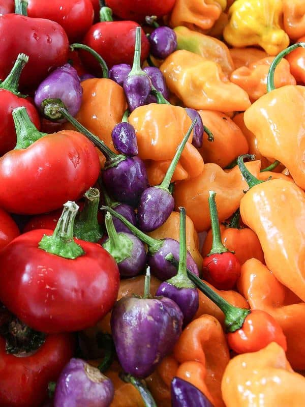 17 Blue Vegetables (+ PICTURES): The Ultimate List | The Fruity Jem