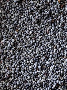 17 Blue Vegetables (+ PICTURES): The Ultimate List | The Fruity Jem
