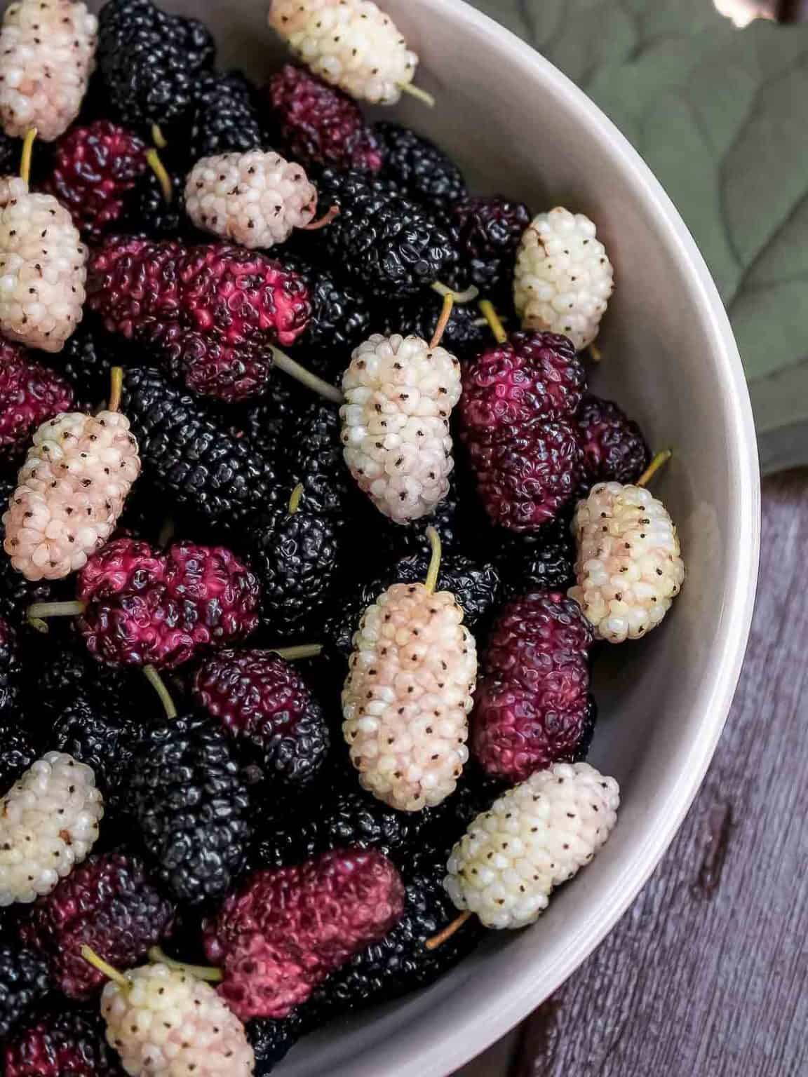 30 White Fruits Names + PHOTOS: The ULTIMATE List | The Fruity Jem