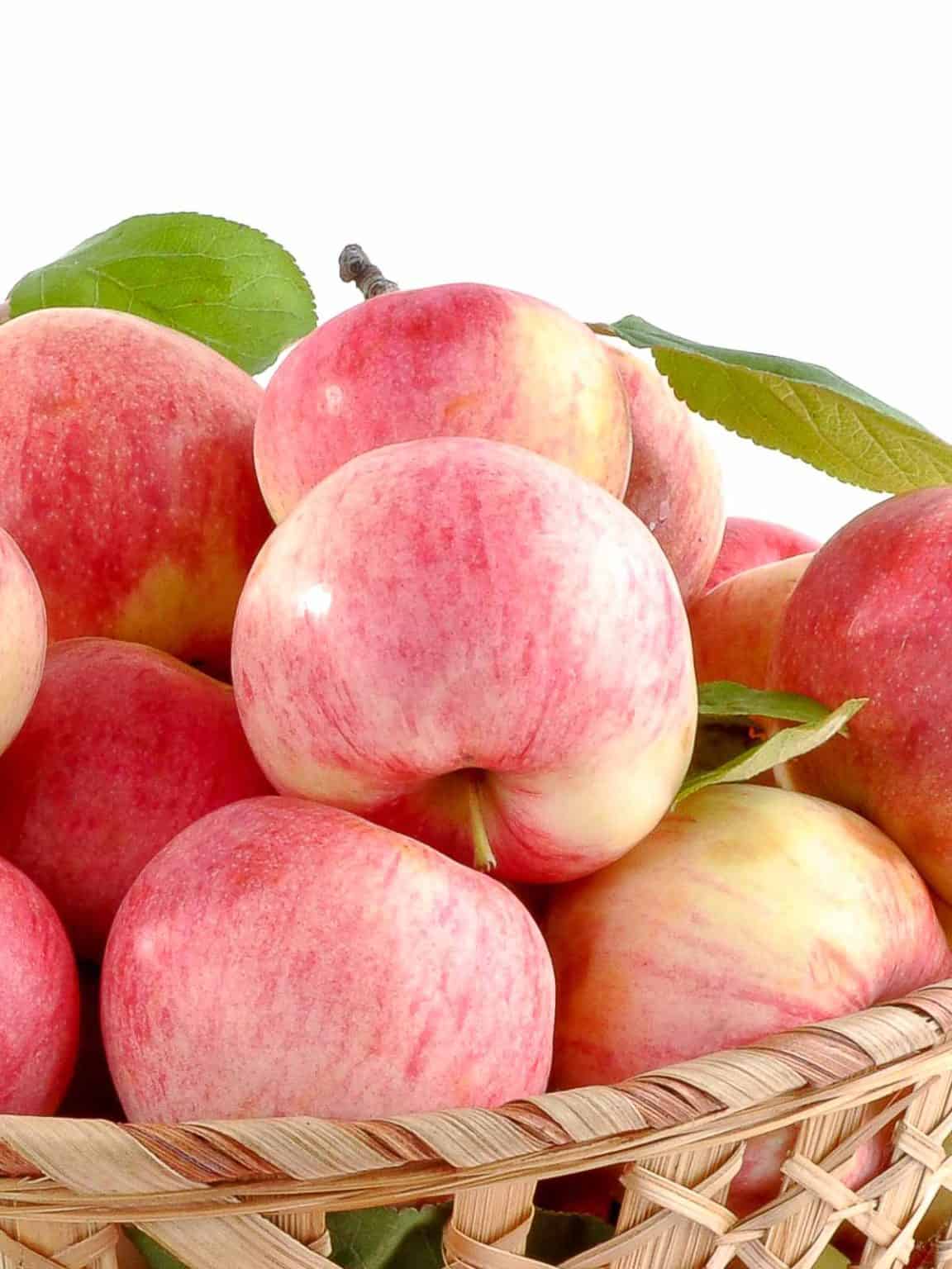 37 Pink Colored Fruits (Names, PHOTOS & Fun Facts!) | The Fruity Jem