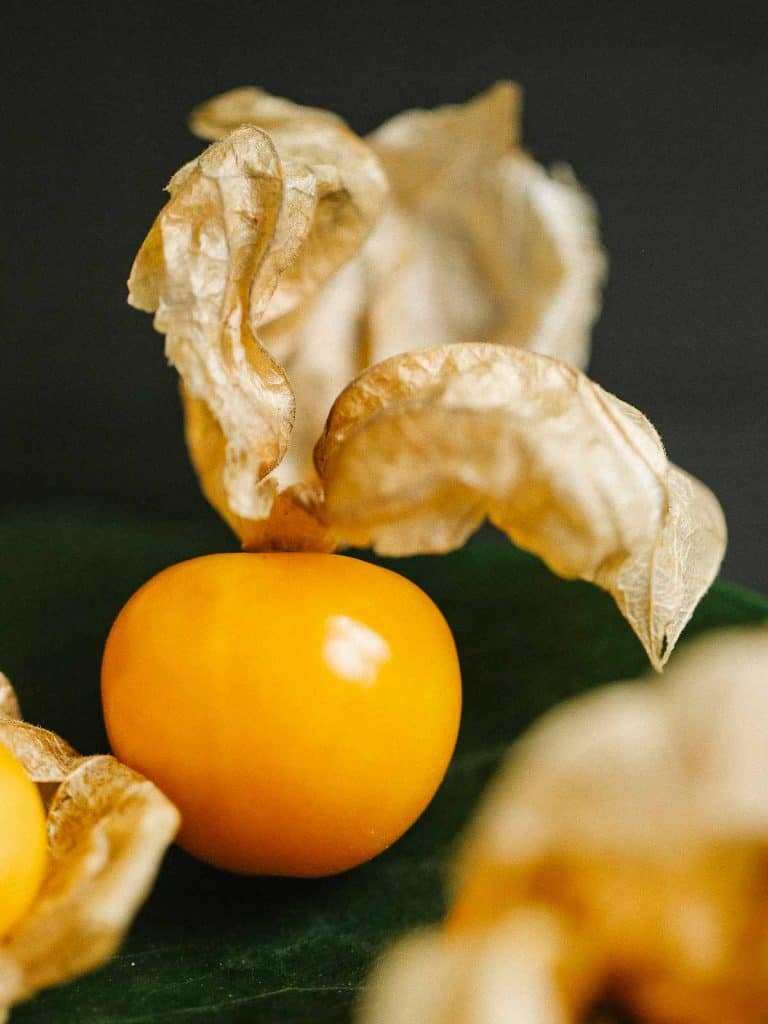 30 Orange Colored Fruits List (+ Pictures & Names) | The Fruity Jem