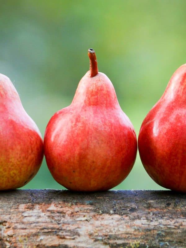 37 Pink Colored Fruits (Names, PHOTOS & Fun Facts!) | The Fruity Jem