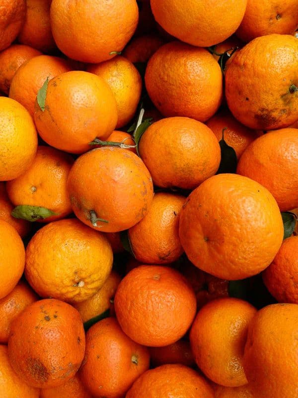 30 Orange Colored Fruits List (+ Pictures & Names) | The Fruity Jem
