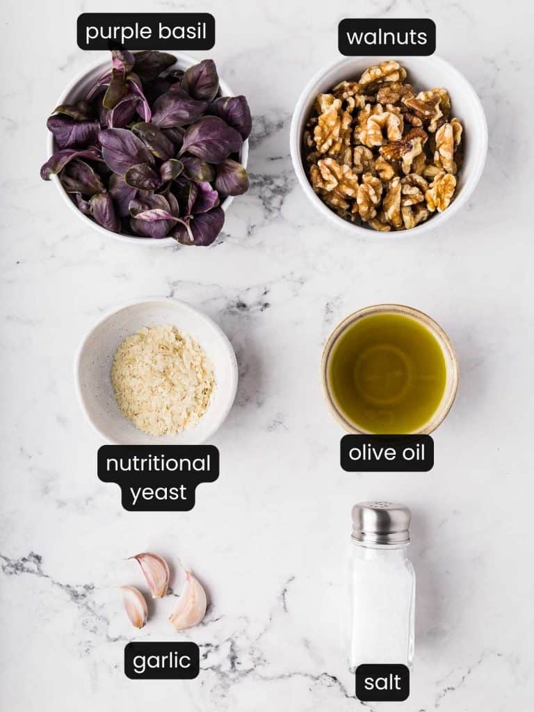 EASY Purple Basil Pesto (Small Batch Recipe) | The Fruity Jem
